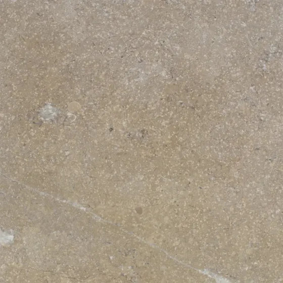 Limestone - Fossil Pearl Coping Stones | h2ofun – H2oFun.co.uk